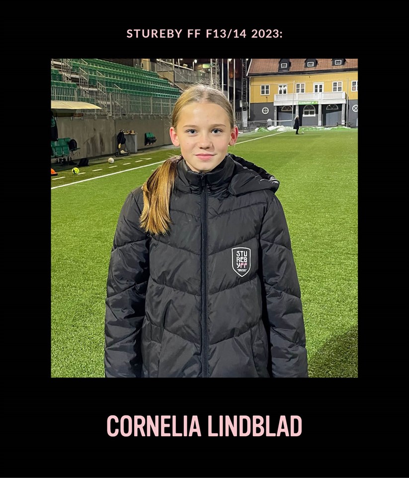 Stureby FF F13-14 | laget.se