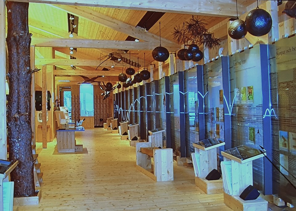 Nya utställningen på Naturum 24:e januari 2024 | Store Mosse Förening