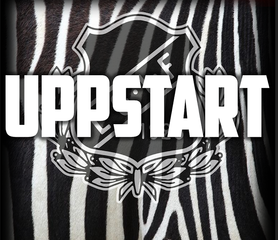 Uppstart FP2019